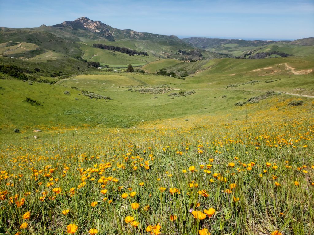 Privately Conserved Lands Archives - The Land Trust for Santa Barbara ...