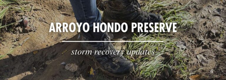 Arroyo Hondo Preserve - Storm Recovery Updates - The Land Trust for ...